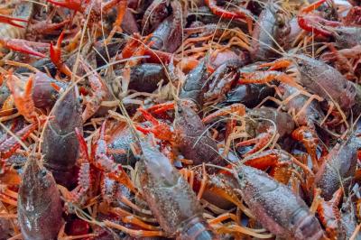 Steven's Fine Food & Seafood Market